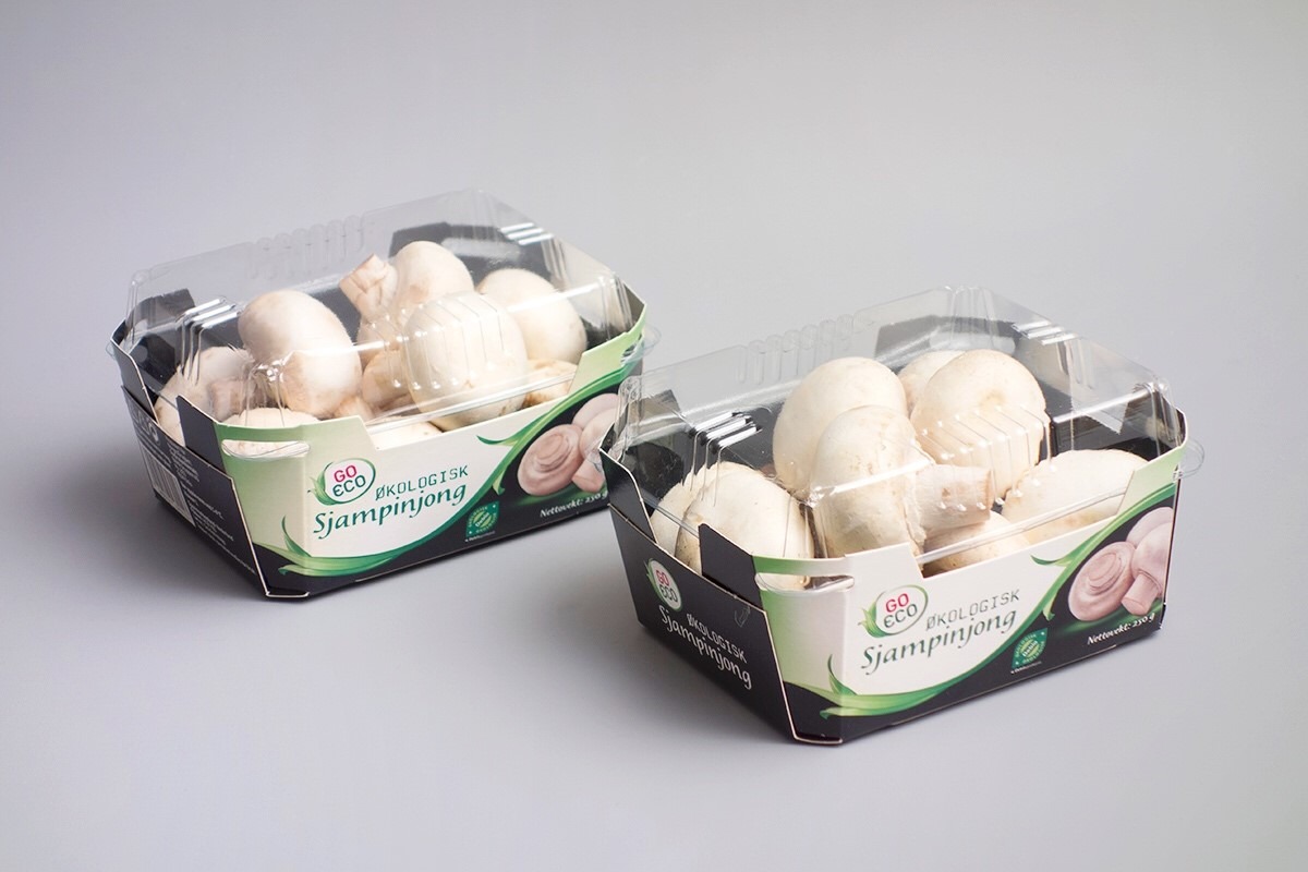 Cardboard trays | the Royal NNZ Group bv